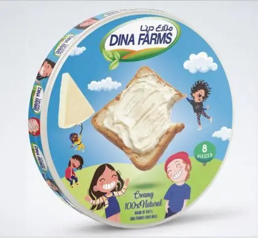 Dina Cheese Triangles, 8 Pieces - Mosa Egypt